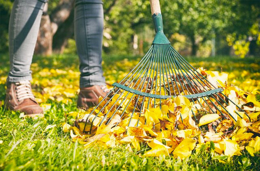 Spring or Fall Clean-Up » Lawn Care | United Property Solutions 2000