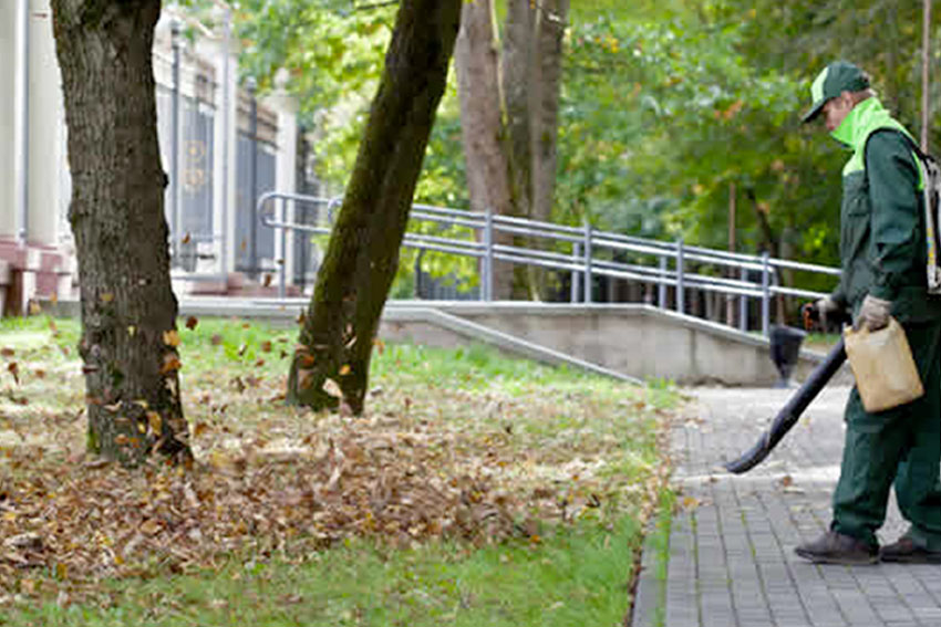 Spring or Fall Clean-Up » Lawn Care | United Property Solutions 2000